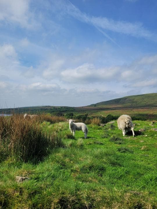 Best routes Watergrove Reservoir by OS Maps, the official app from ...