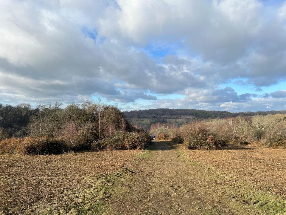 Best routes Box Hill by OS Maps, the official app from Ordnance Survey