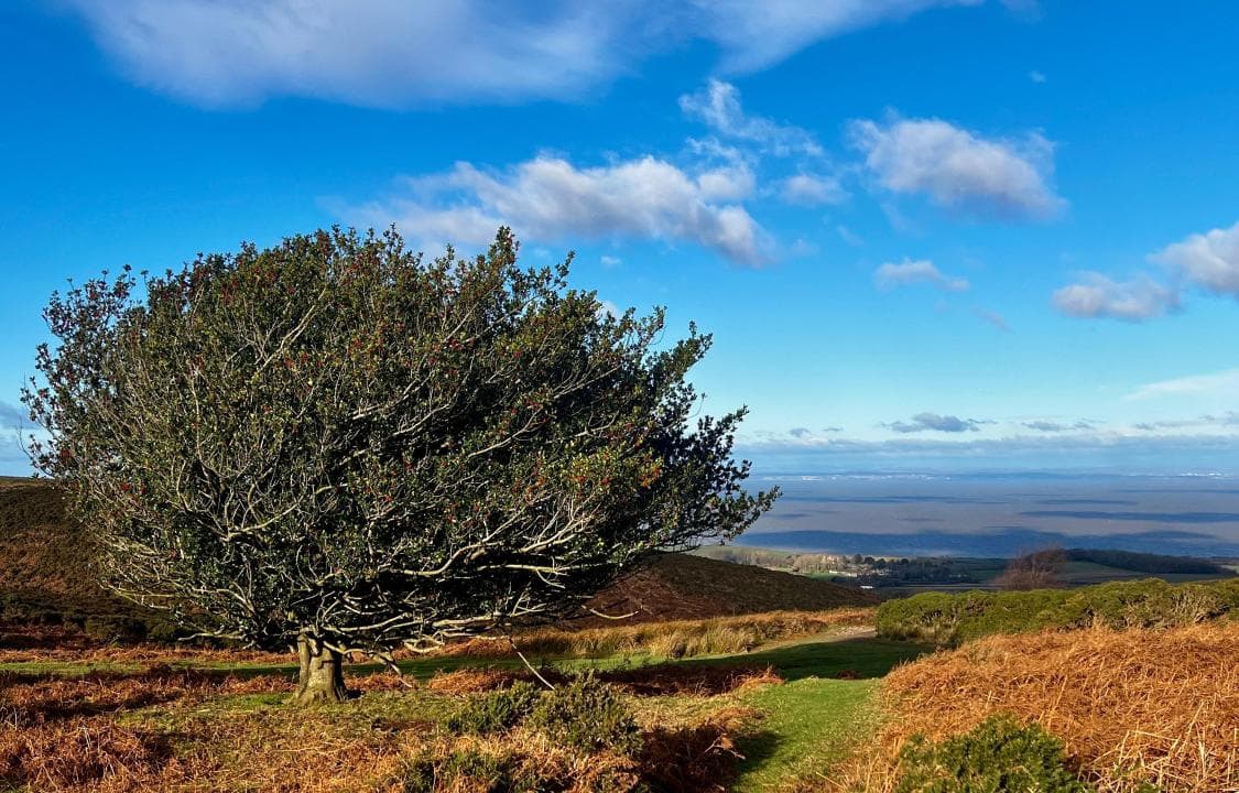 Best routes Quantock Hills by OS Maps, the official app from Ordnance ...