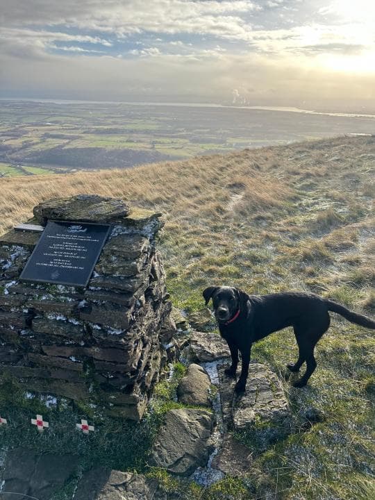 Best routes Ochil Hills by OS Maps, the official app from Ordnance Survey