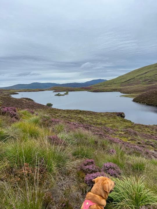 Best routes Grampian Mountains by OS Maps, the official app from ...