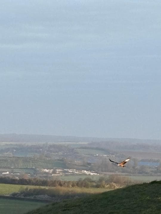 Best routes Dunstable Downs by OS Maps, the official app from Ordnance ...