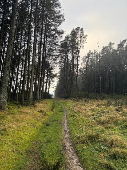 Best routes Elan Valley by OS Maps, the official app from Ordnance Survey