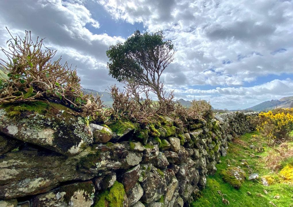 Best routes Cader Idris by OS Maps, the official app from Ordnance Survey