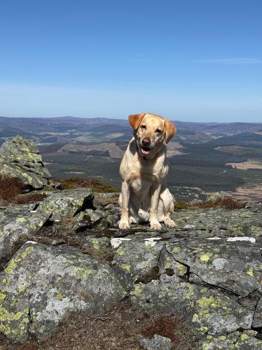 Best routes Cairngorms National Park by OS Maps, the official app from ...