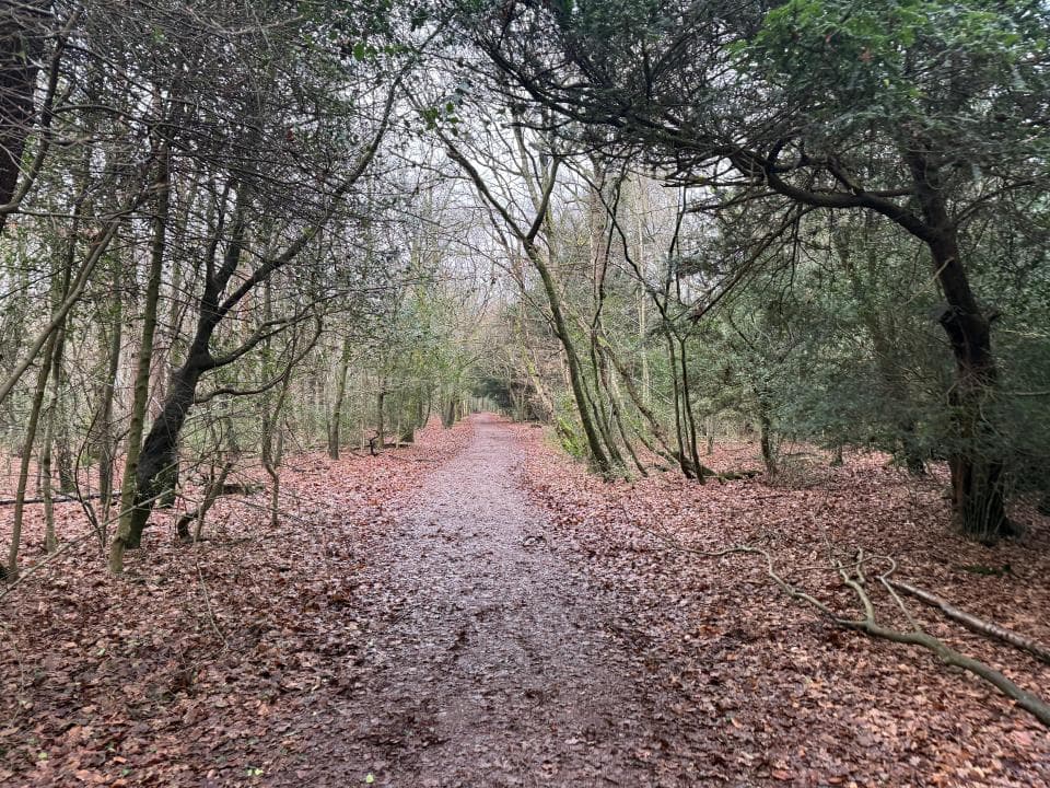 Best routes Box Hill by OS Maps, the official app from Ordnance Survey